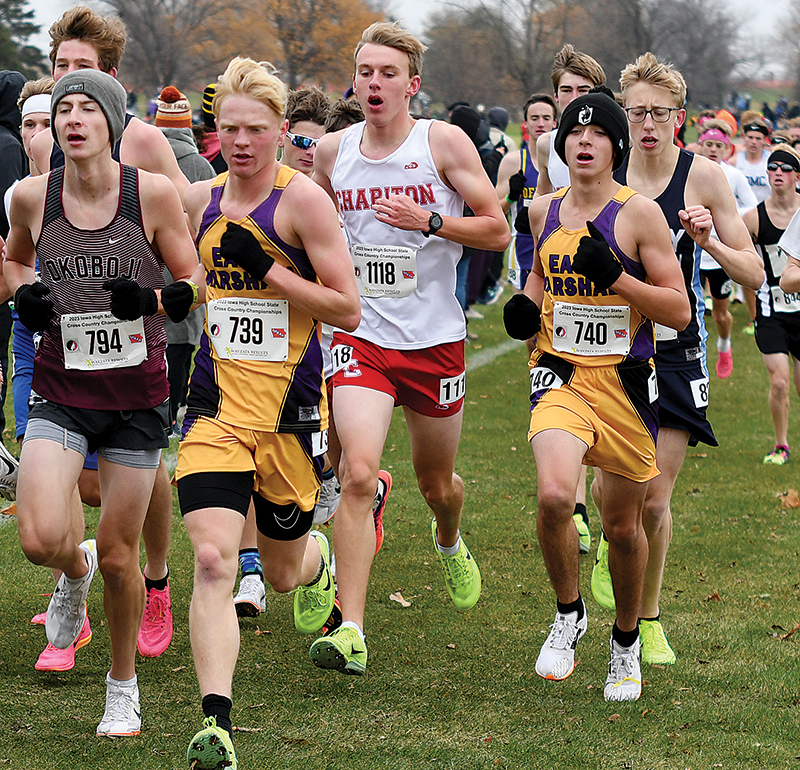 Mustangs share state meet experience | News, Sports, Jobs - Times ...